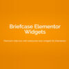 🥇[DOWNLOAD] Briefcase Elementor Widgets 2.1.4 ThemePlugin.Org