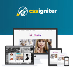 🥇[DOWNLOAD] CSS Igniter Nozama WooCommerce Theme 1.9.6 ThemePlugin.Org