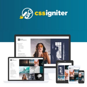 🥇[DOWNLOAD] CSS Igniter Lense WordPress Theme 1.2.3 ThemePlugin.Org