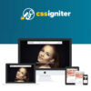 🥇[DOWNLOAD] CSS Igniter The Styler WordPress Theme 1.4.5 ThemePlugin.Org