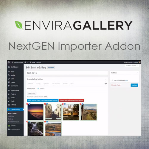 🥇[DOWNLOAD] Envira Gallery – Gallery Themes Addon 2.0.6 ThemePlugin.Org