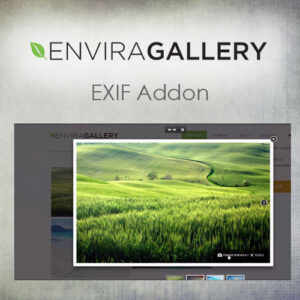 🥇[DOWNLOAD] Envira Gallery – CSS Addon 1.3.7 ThemePlugin.Org